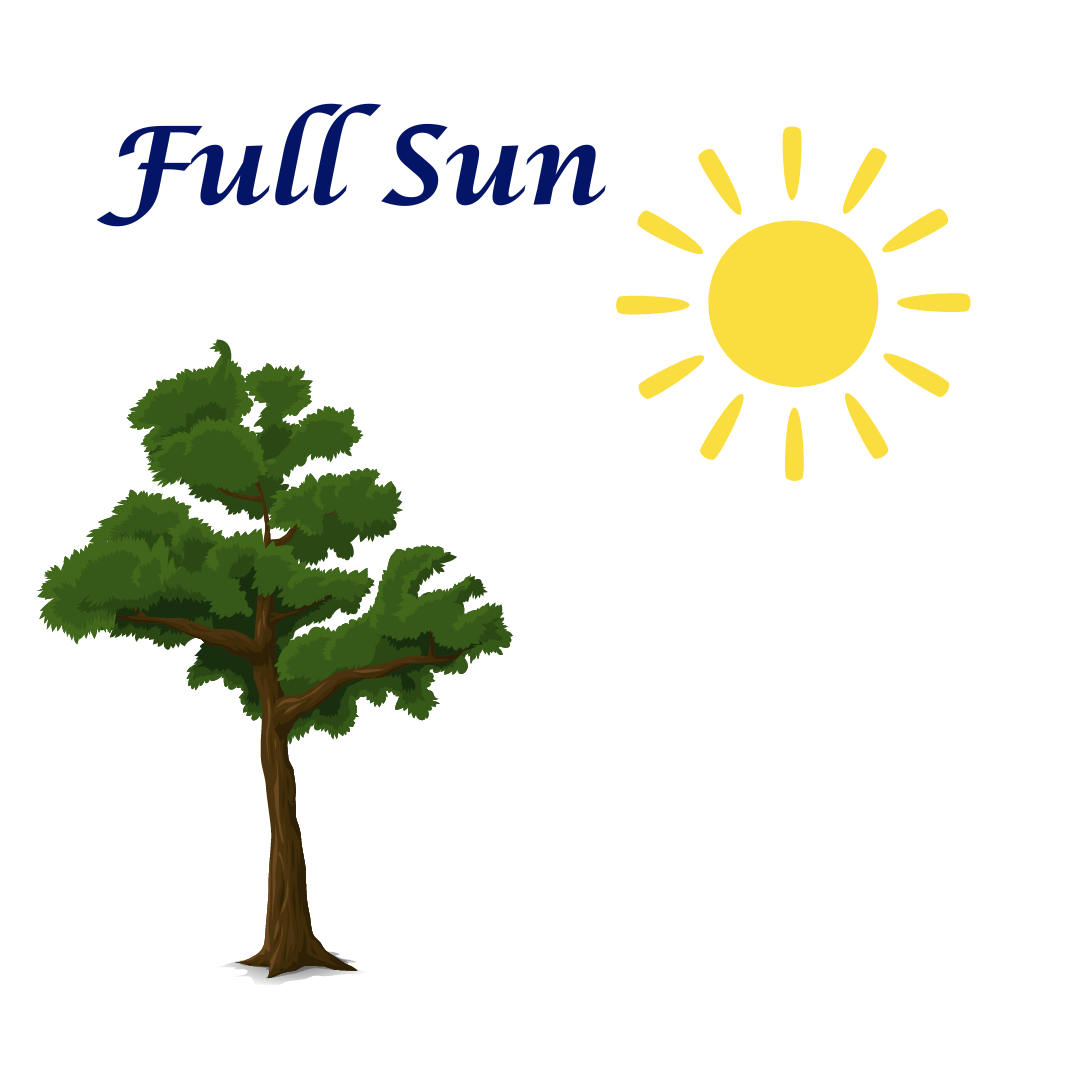 Full Sun – Fieldstone Gardens Inc